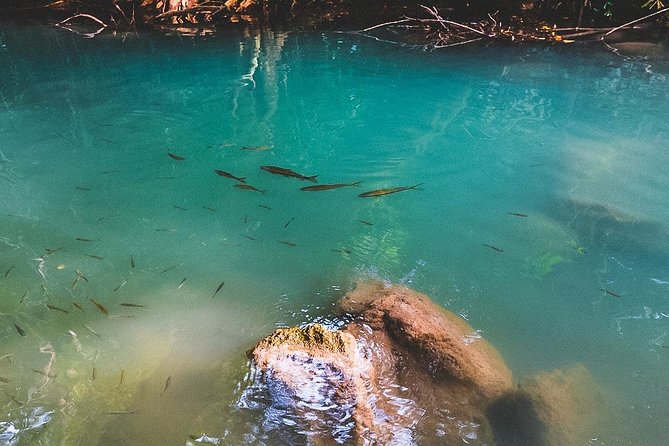 Erawan Waterfall and Elephant Care: Private Tour to Kanchanabur - Why This Tour Offers Great Value