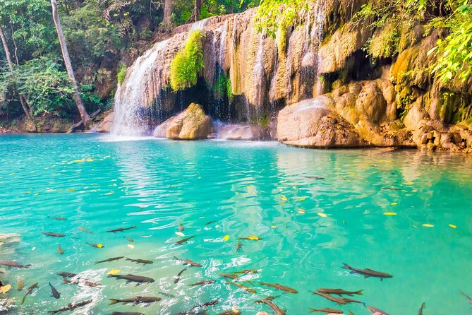 Erawan Waterfall and Elephant Care: Private Tour to Kanchanabur - Final Thoughts