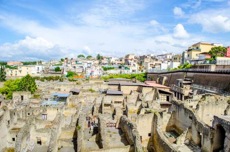 Ercolano: Herculaneum Entry Ticket with Optional Audio Guide - An In-Depth Look at the Herculaneum Tour