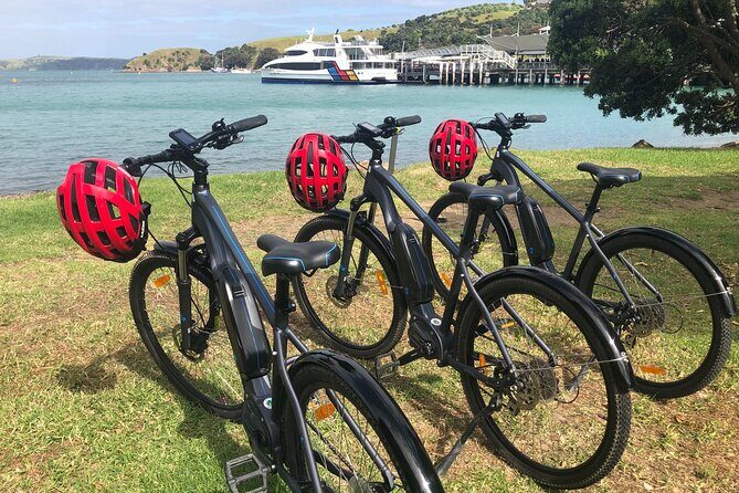 eRide Waiheke 5 bays ride - The Sum Up: Who Will Love the Waiheke E-Bike?