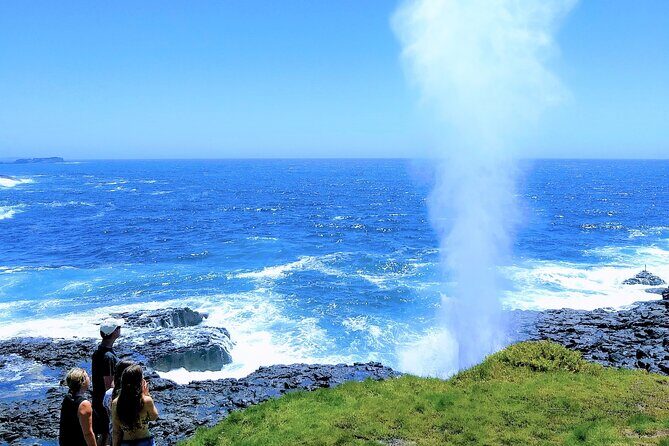 Erupting Blowholes and Ancient Rainforests SOUTH COAST OF SYDNEY PRIVATE TOUR - An In-Depth Look at the South Coast Private Tour