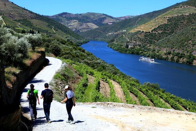 Ervedosa do Douro Walking Tour - What Makes This Tour Special?