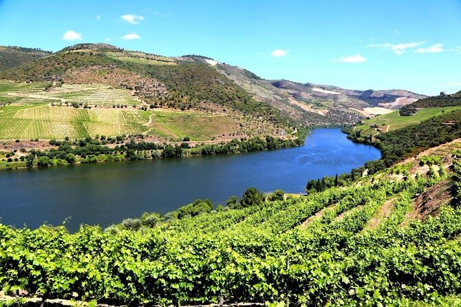 Ervedosa do Douro Walking Tour - FAQ