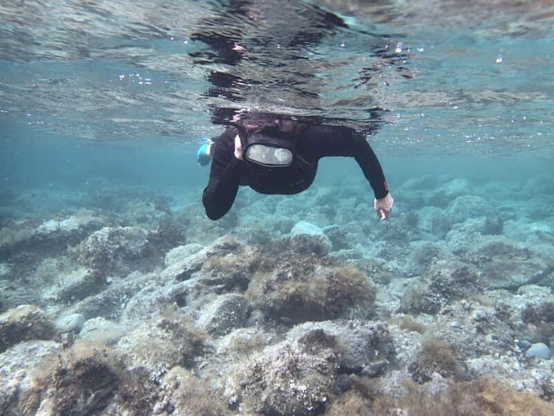 Es Grau:Private Snorkeling Experience with Picnic and Drinks - The Experience’s Strengths and Considerations