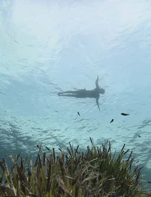 Es Grau:Private Snorkeling Experience with Picnic and Drinks - Frequently Asked Questions
