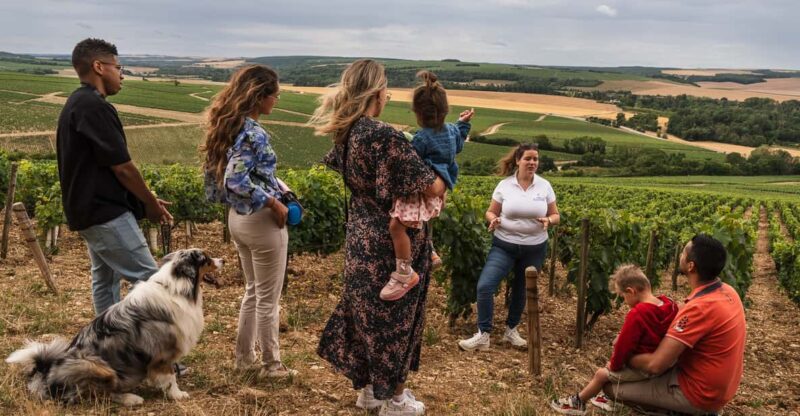 Escapade and tasting in the Chablis vineyards - Key Points
