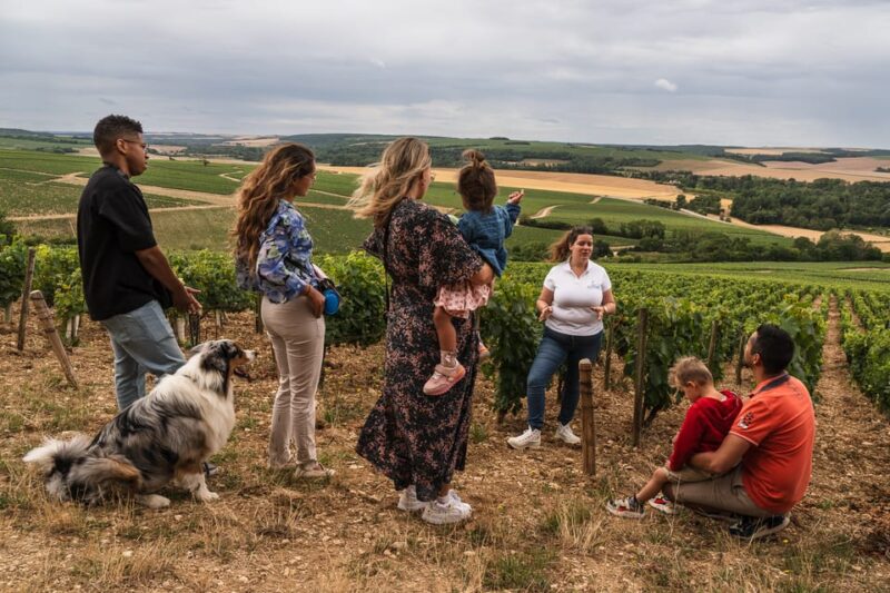 Escapade and tasting in the Chablis vineyards - Why this tour stands out