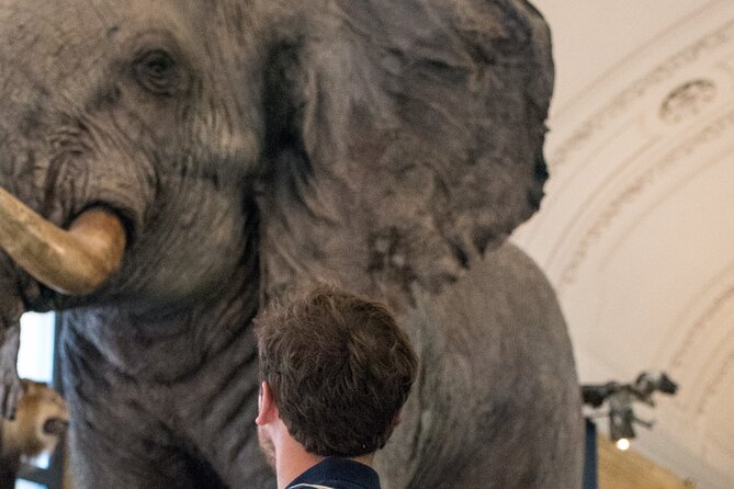 Escape Game at the Royal Museum for Central Africa - Multilingual Offerings