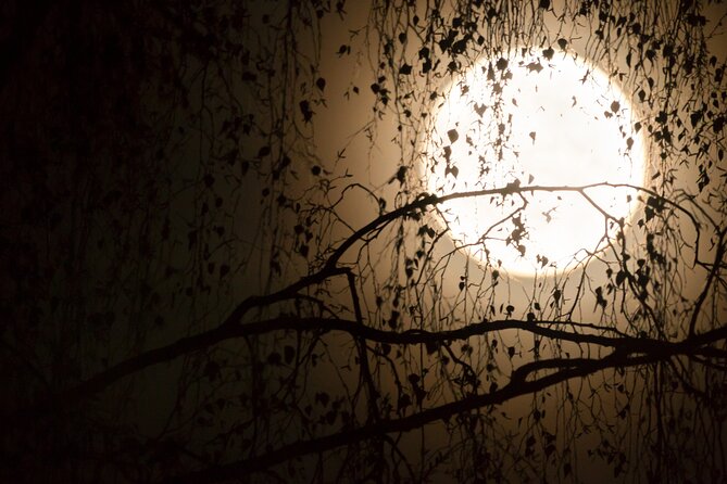 Escape Game Team Theme Magic in Porto - Key Points