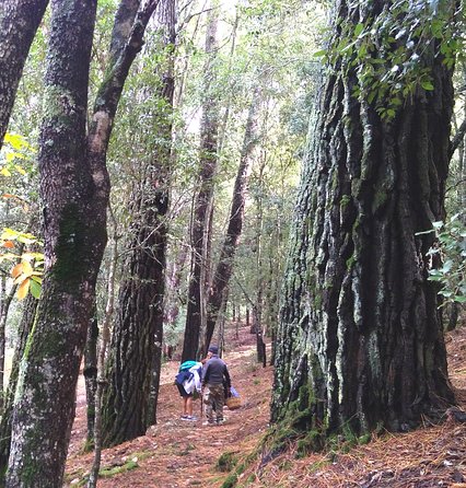 Escape into Sardinia - Key Points