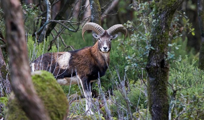 Escape into Sardinia - Final Thoughts