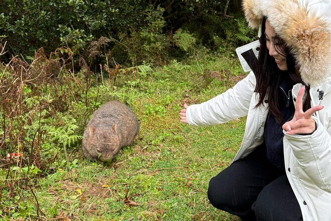 Escape Sydney: Sea Cliff Bridge, Wildlife, Kiama Coast Private - FAQ