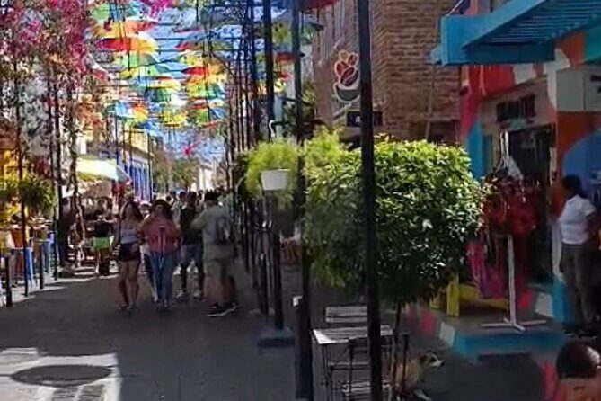 Escape to Buggies Adventure and Puerto Plata City Tour with Lunch - Who Will Love This Tour?