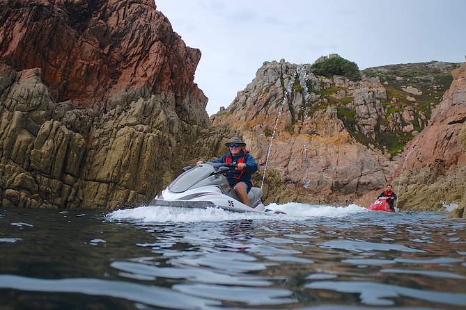 Escorted Coastal Tour by Jet Skis From St. Aubin - Potential Wildlife Encounters on the Tour