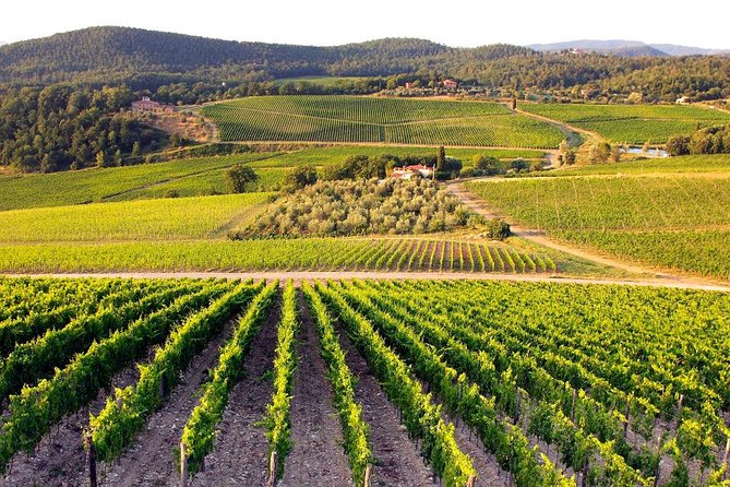 Escorted Tour: Siena, San Gimignano and Chianti - What’s Included and What’s Not