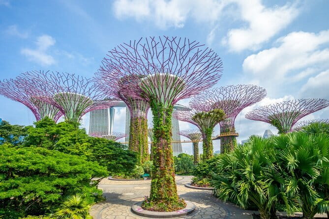 eSIM 4G/5G Data for Asia 8 Areas Singapore Thailand MY VN HK TW - The Activation Process and Ease of Use