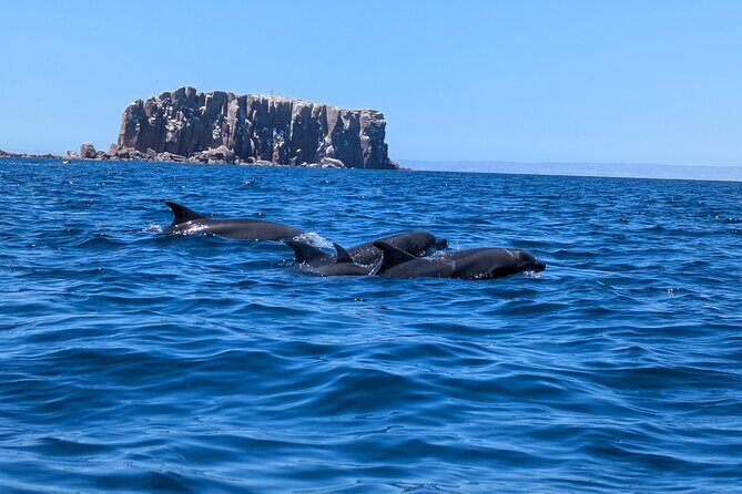 Espíritu Santo Adventure Private Tour - Practical Details and Value