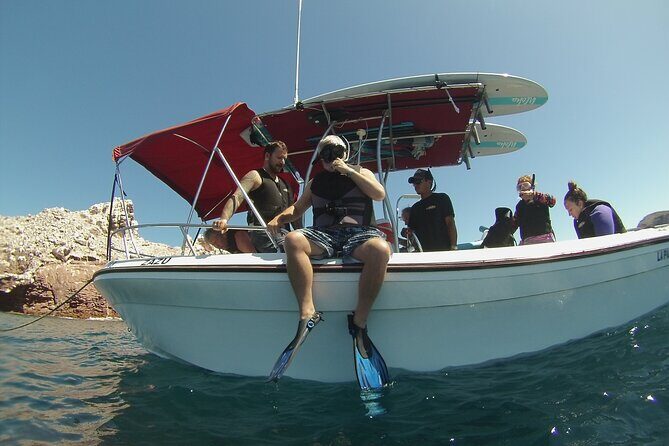 Espiritu Santo Island Combo: Sea Lions and Paddleboard 1 to 6 Private Group - Who Will Love This Tour?
