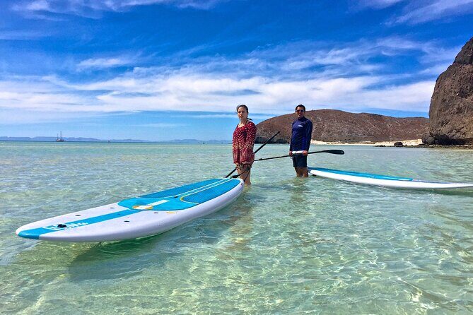 Espiritu Santo Island Combo: Sea Lions and Paddleboard 1 to 6 Private Group - Final Thoughts