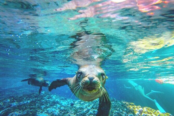Espiritu Santo Island Day Tour - Who Should Consider This Tour?