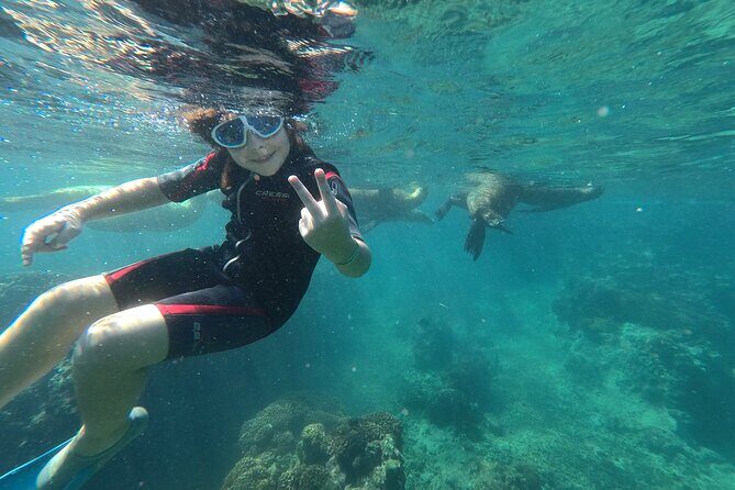 Espíritu Santo Island snorkel and sightseeing tour on Small Group - Key Points