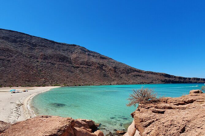 Espíritu Santo Island snorkel and sightseeing tour on Small Group - Final Thoughts: Is It Worth It?