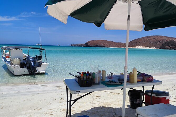 Espiritu Santo Island: Snorkel, Wildlife and Beach - A Closer Look at the Tour