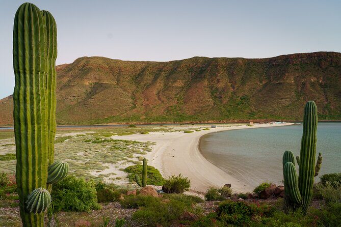 Espiritu Santo Island: Snorkel, Wildlife and Beach - What Could Be Better?