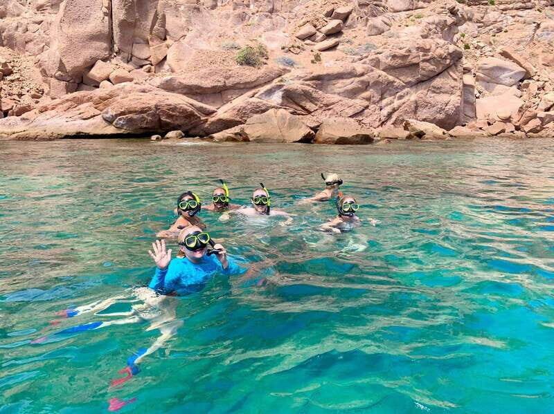 Espiritu Santo Island: Snorkeling Sea Lion Adventure - The Value for Your Money