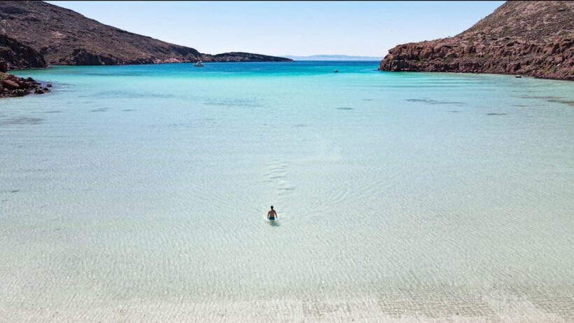 Espiritu Santo Island: Snorkeling Sea Lion Adventure - Who Should Consider This Tour?