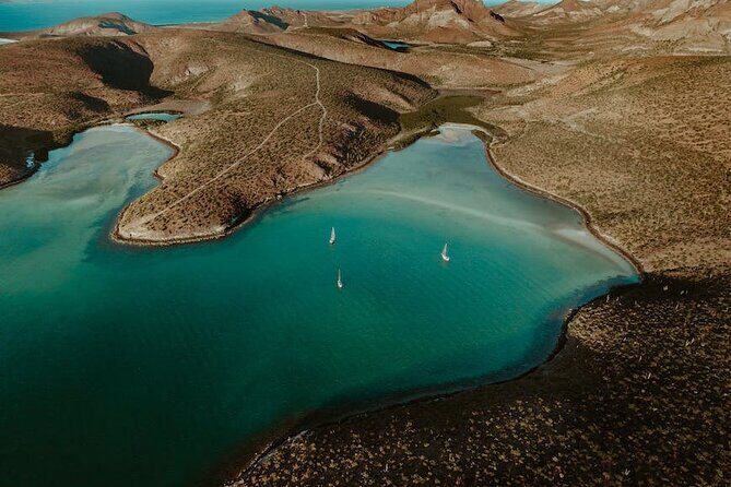 Espiritu Santo Island Tour - Who Should Consider This Tour?