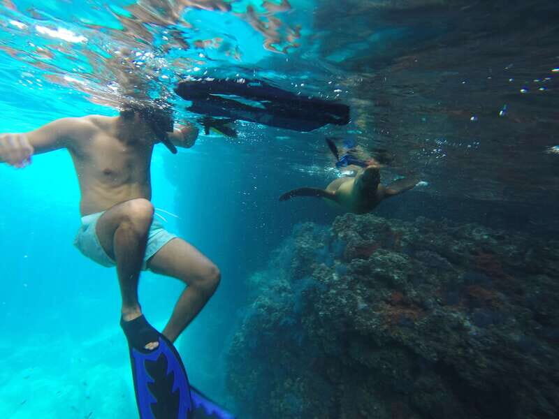 Espiritu Santo Snorkeling and Sea Lion Adventure - Practical Details and Tips