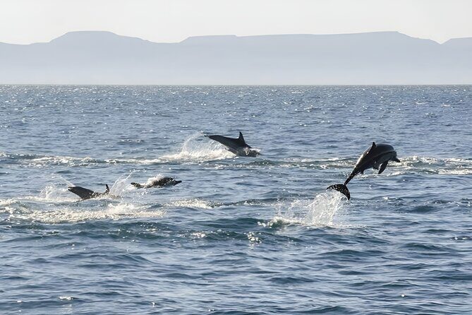 Espiritu Santo Wildlife Expedition and Snorkeling Tour (Private) - FAQ