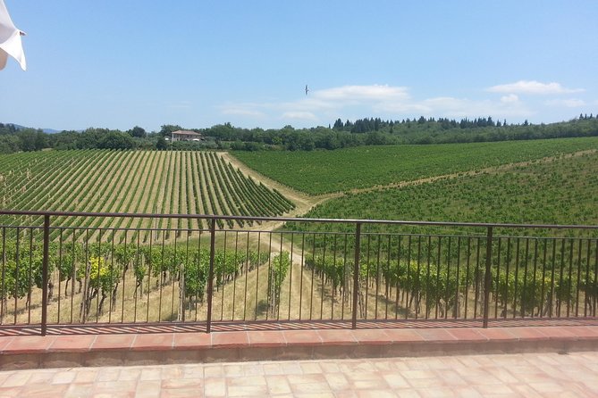 Essence of Chianti Small Group Tour with Lunch and Tastings from Florence - The Value of This Tour