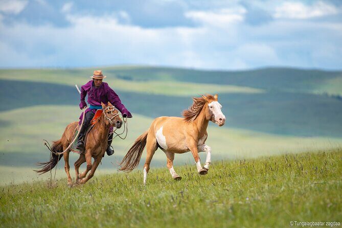 Essence of Mongolia 4 Days - Key Points