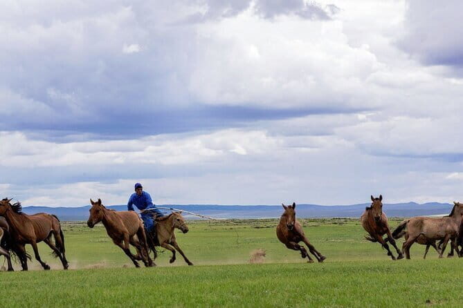 Essence of Mongolia 5 Days - Introduction