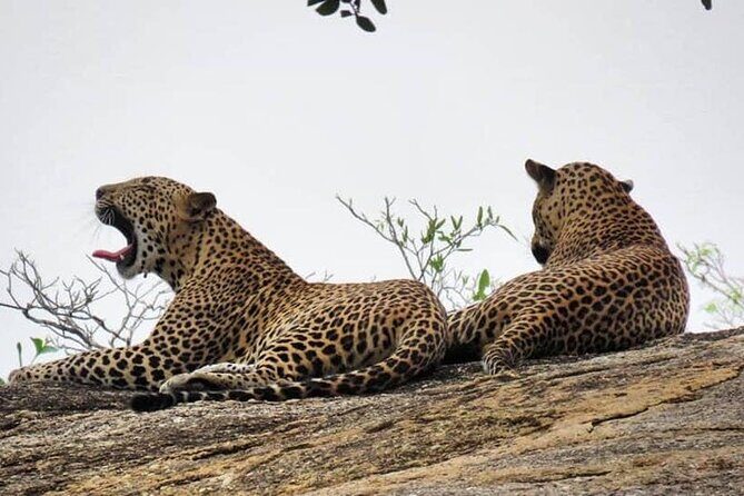 Essence of Nature 15 days in Sri Lanka - Final Thoughts