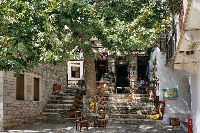 Essence of Naxos Tour - Accessibility and Participation