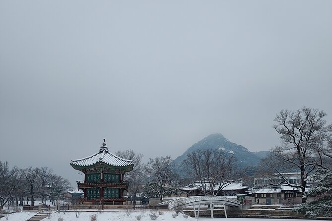 Essence of Seoul, Full Day City tour - Practical Considerations