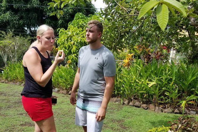 Essence of St Lucia Heritage Experience - Who Should Consider This Tour?