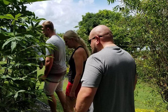 Essence of St Lucia Heritage Experience - FAQs