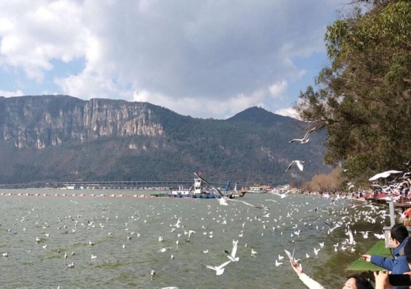 Essences of Kunming Downtown Day Tour - Who Should Take This Tour?