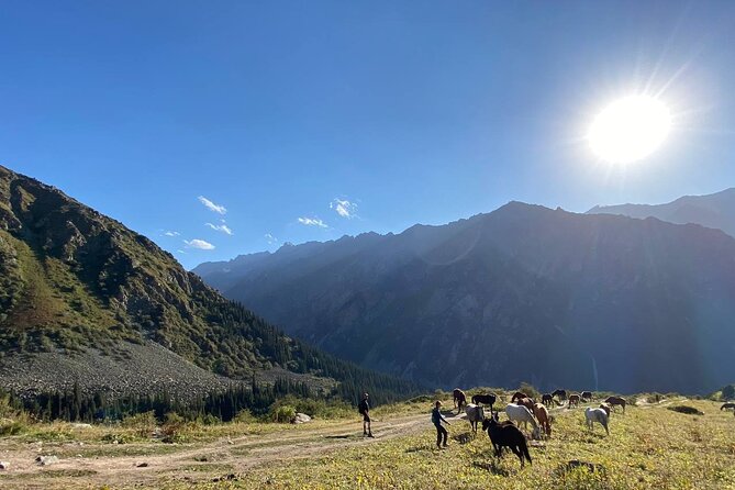 Essential Day Trip to Ala Archa National Park - Why You Should Consider This Tour