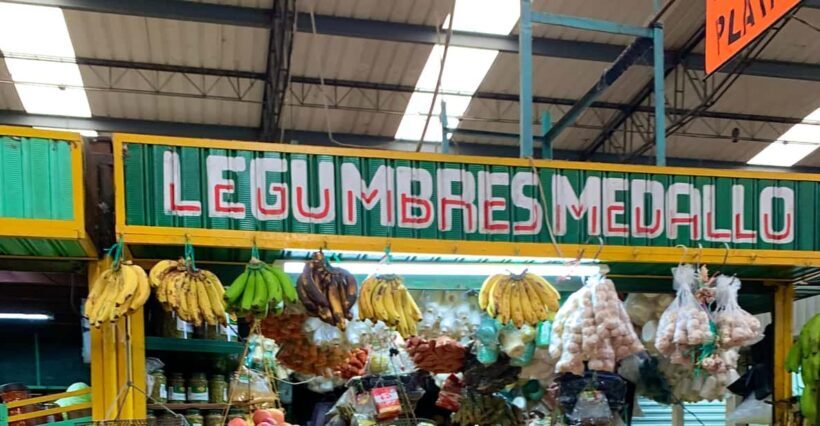 Essential Fruit Experience - Examining the value