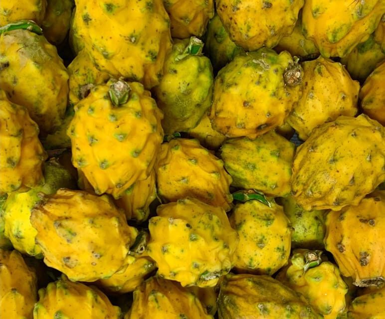 Essential Fruit Experience - Practical details that matter