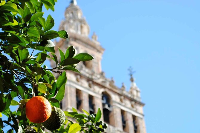 Essential Seville Tour - Key Points