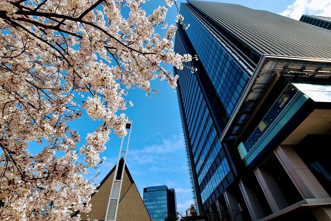 Essential Tour for Fashion and Art in Tokyo for 6 Hours With Local Lunch - Pickup and Meeting Details