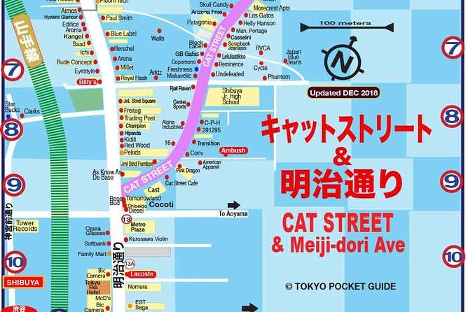 Essential Tour for Fashion and Art in Tokyo for 6 Hours With Local Lunch - Exploring Harajuku and Shibuya Districts
