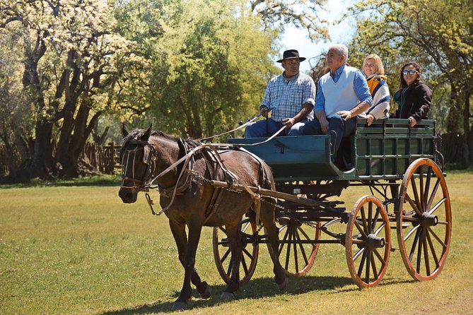 Estancia Gaucho Day at Buenos Aires - Practical Information and Booking