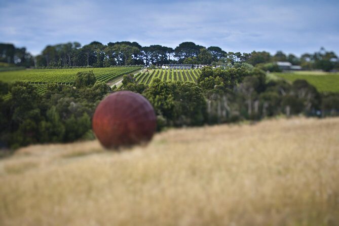 Estate to Plate: Montalto Vineyard Gourmet Lunch and Wine-Tasting Tour - Key Points